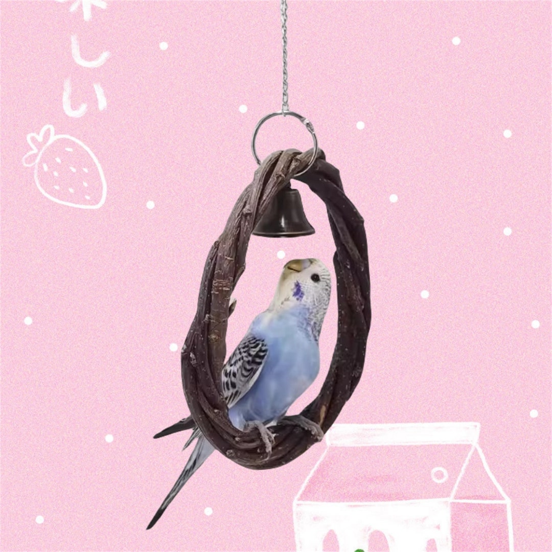 Circle Wood Swing for Bird,handmade Parrot Play Stand,natural Wood Bird ...