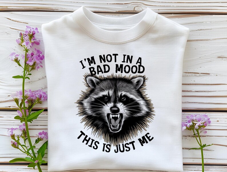 Angry Raccoon Retro Png, Mental Health Design, Trendy Funny Saying ...