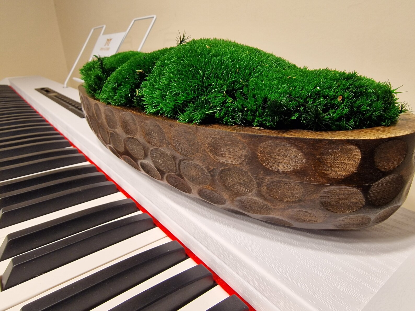 Preserved Bun Moss Bowl Centerpiece | Housewarming | Home Decoration ...
