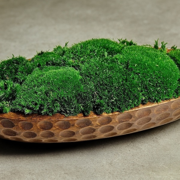 Moss Table Decor - Etsy