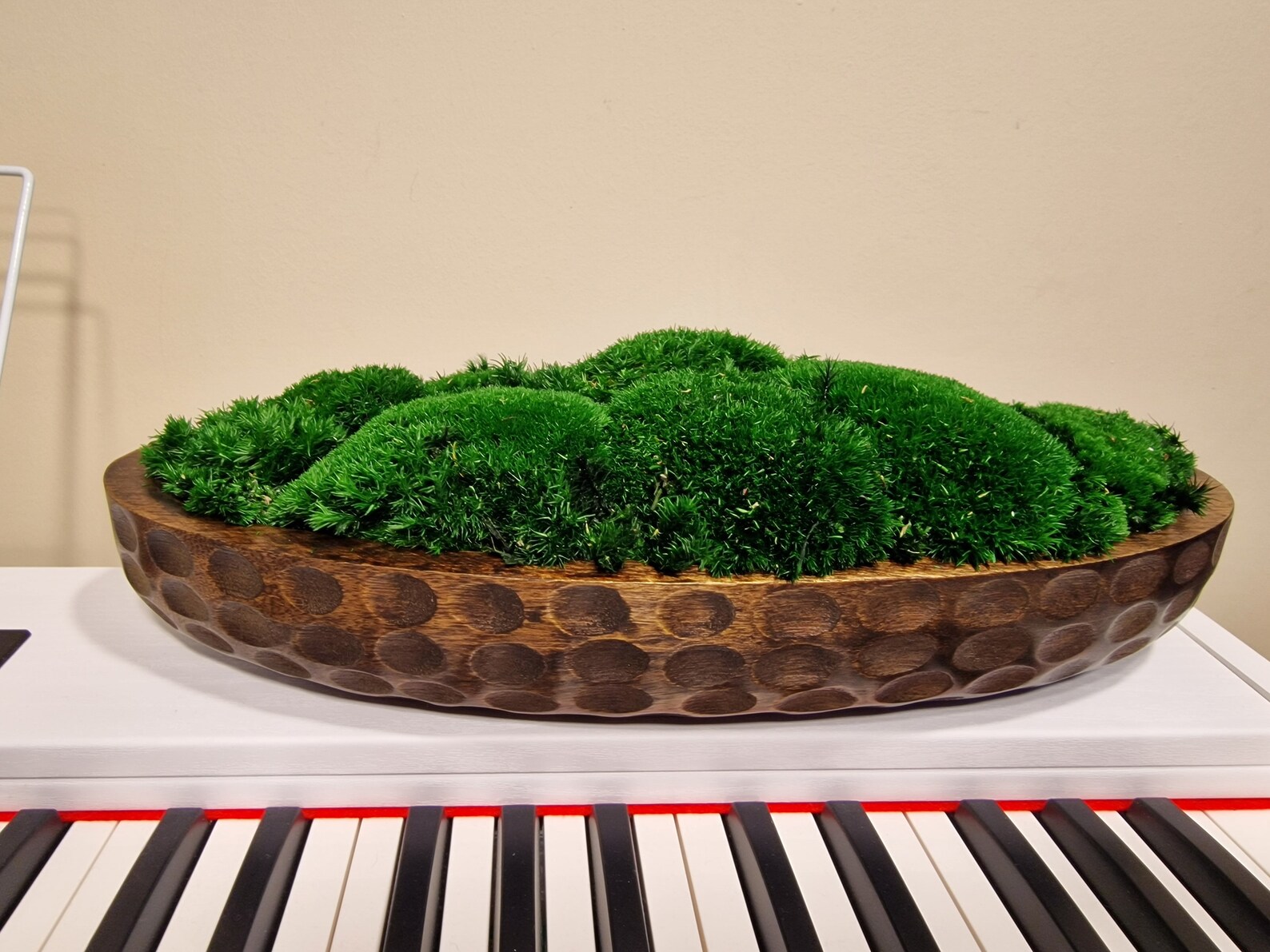Preserved Bun Moss Bowl Centerpiece | Housewarming | Home Decoration ...