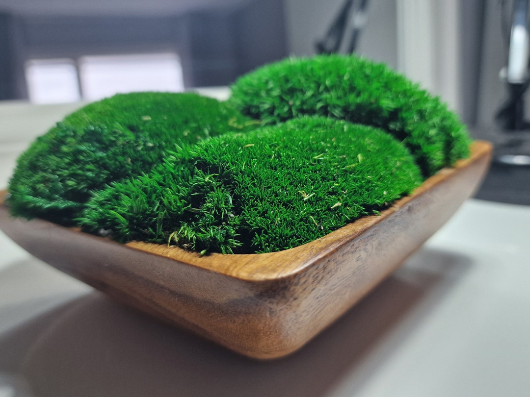 Moss Bowl Centerpiece Art Work, Housewarming Gift, Rustic Table Decor ...