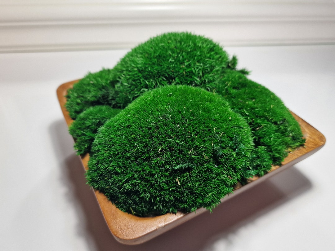 Moss Bowl Centerpiece for Dining Table, Housewarming Gift, Rustic Table ...