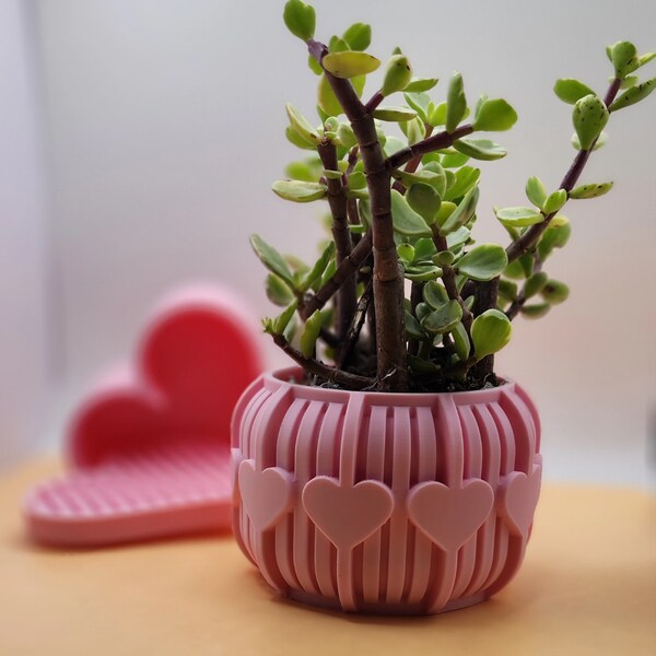 Heart Flower Pot - Etsy