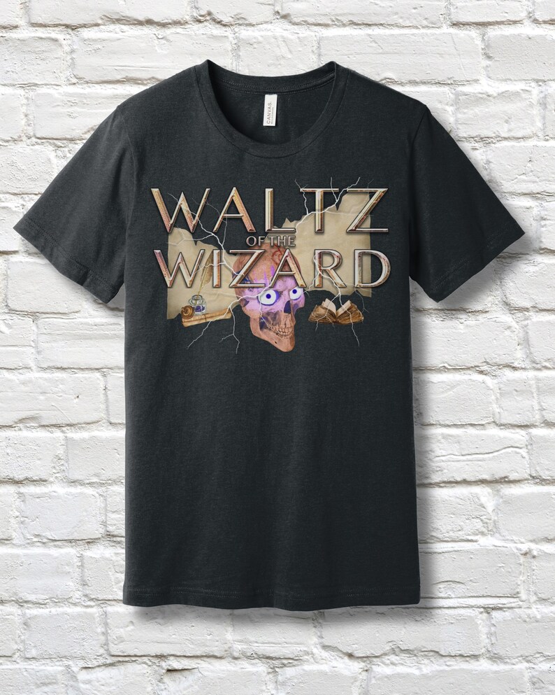 Waltz of the Wizard T-shirt, Virtual Reality Gamer Tee - Etsy