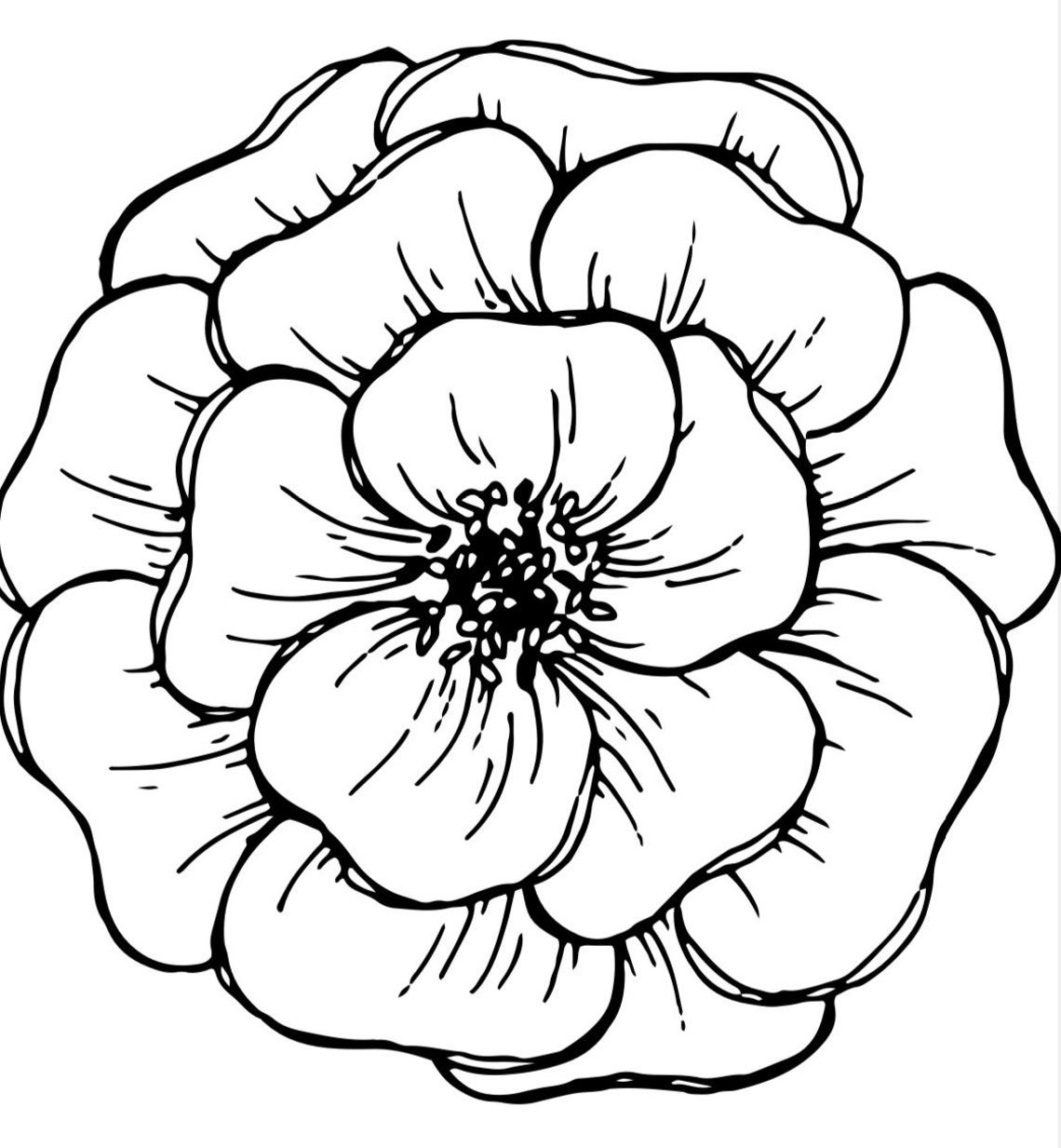 Digital Colouring Book for Your Kids to Colour - Etsy