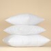 Premium SQUARE Down Alternative Pillow Insert Set of 2 | 18 X 18 Pillow ...