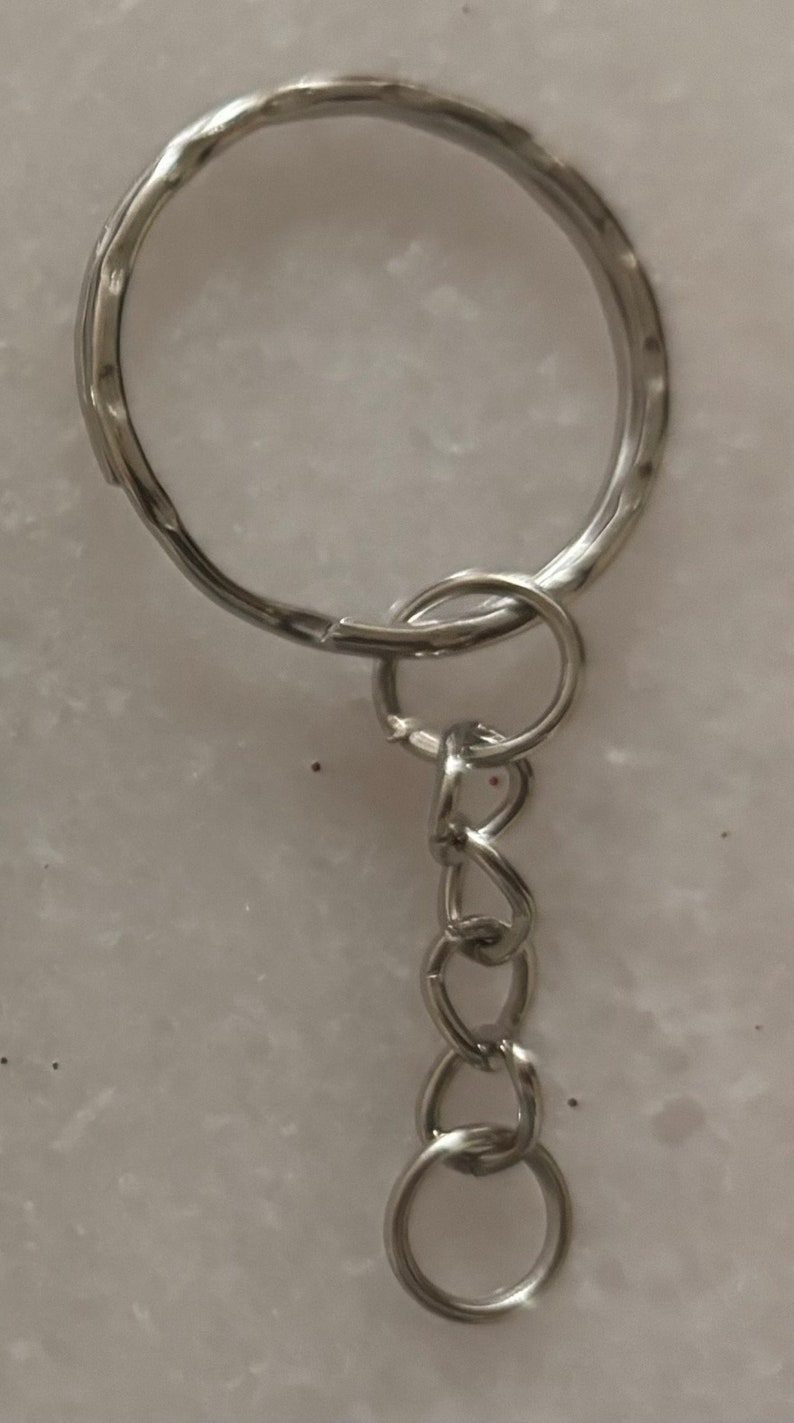 Vampire Diaries Elena Gilbert Necklace Locket Charm, Bag Charm ...