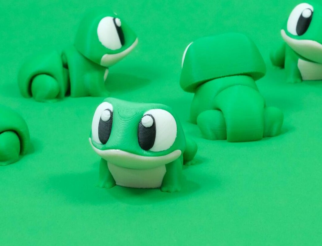 Flexible Articulated Frog – 3D Printed Fidget Toy, Poseable Desk ...