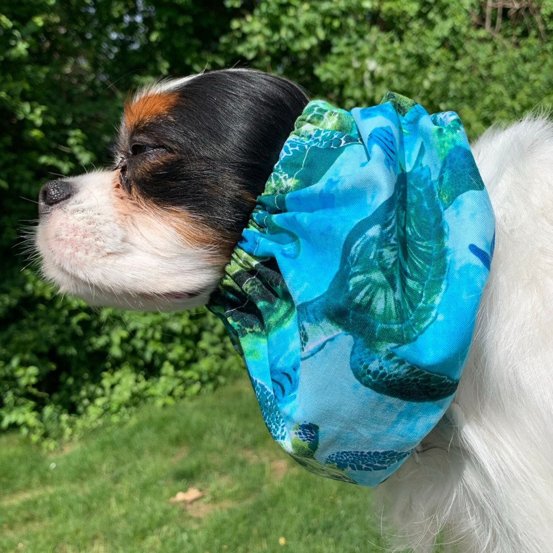 Cavalier Snood Sea Turtle - Etsy