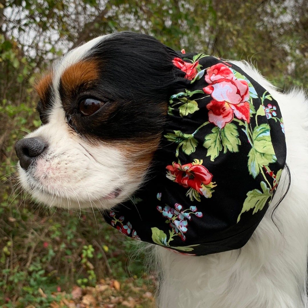 Cavalier Snood Black Floral - Etsy
