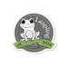 Magnet Leapling 2024 Leap Year Frog - Etsy
