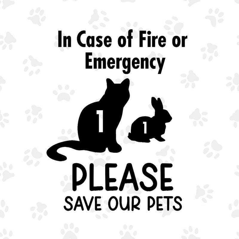 Pet Inside Sticker - Etsy