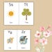 Alphabet Flash Cards: Montessori First Words, Modern Picture (digital ...