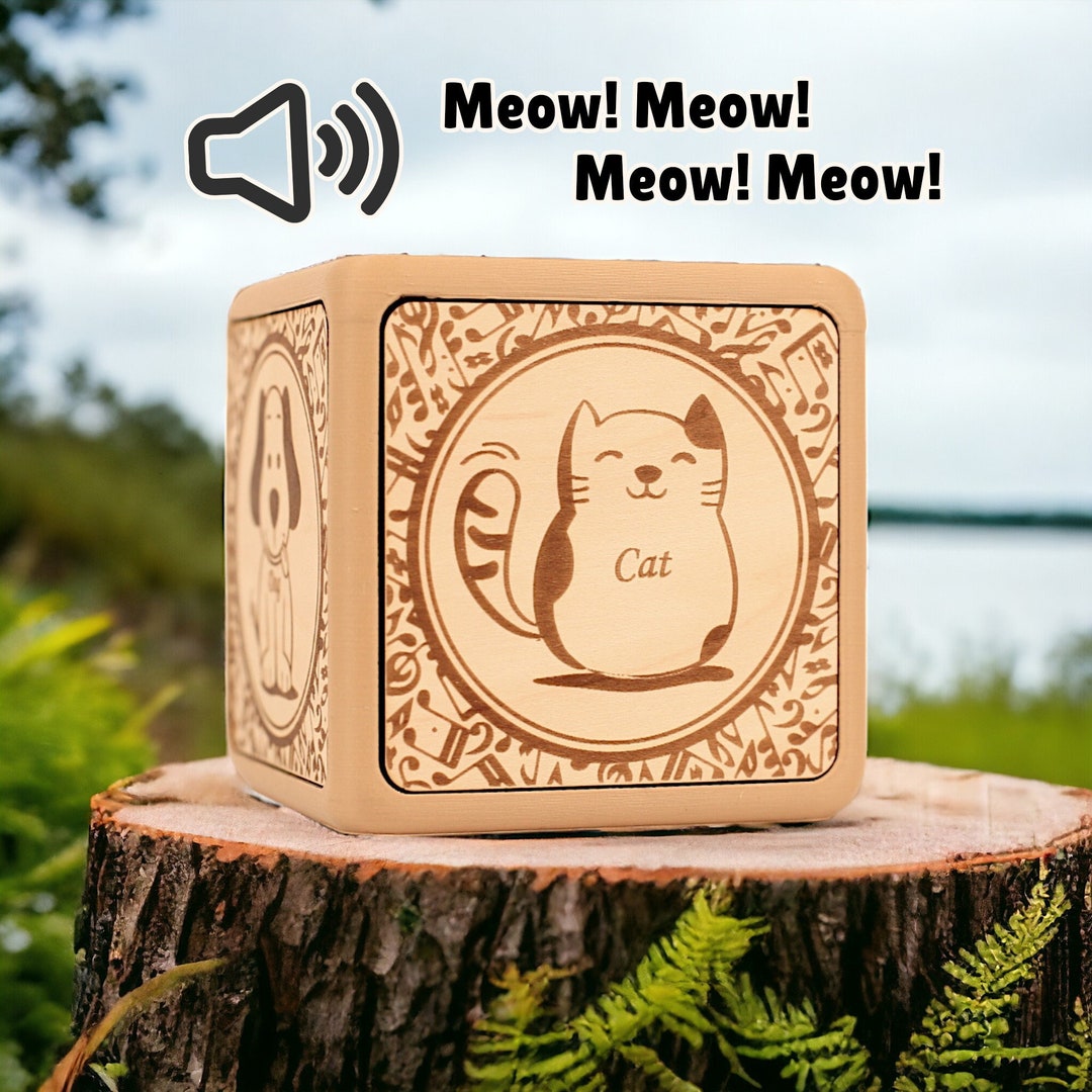 Baby Sound Box - First Birthday Gift for Kids - New Baby Boy Girl ...