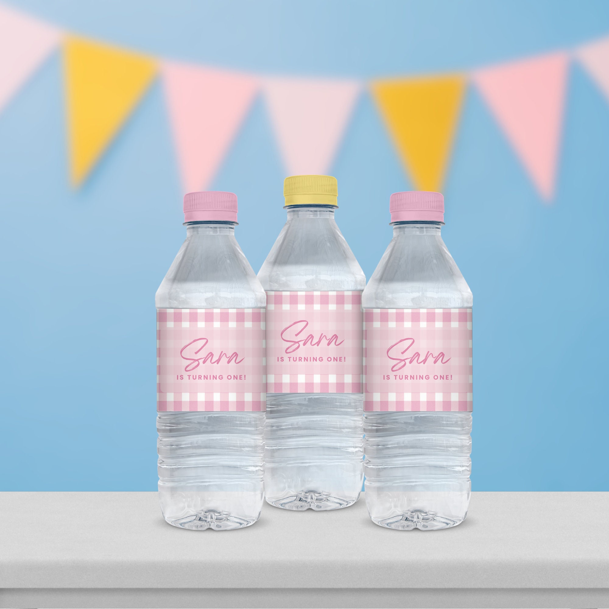 Pink Gingham First Birthday Party Bundle Customizable Editable ...