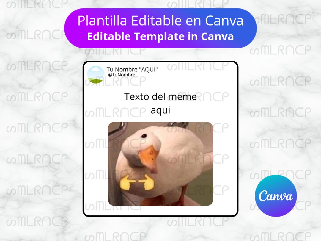 Editable Meme Template | Editable Meme Template (editable in Canva ...