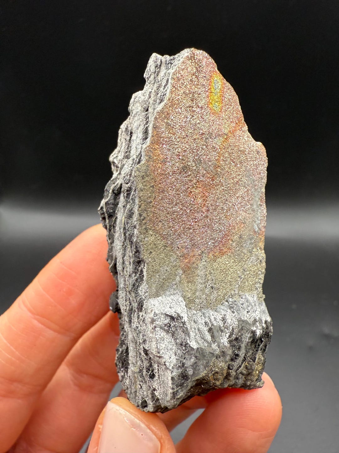 Permineralized Fossilized Wood With Sparkly Rainbow Marcasite From ...