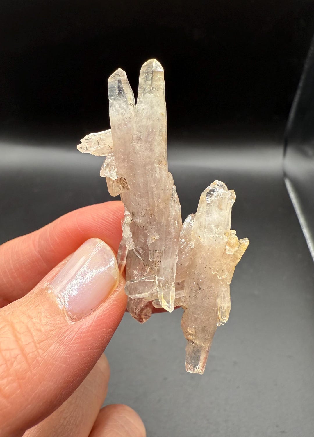 Black Phantom Quartz Cluster From Veracruz, Mexico. New Find! Rocks ...