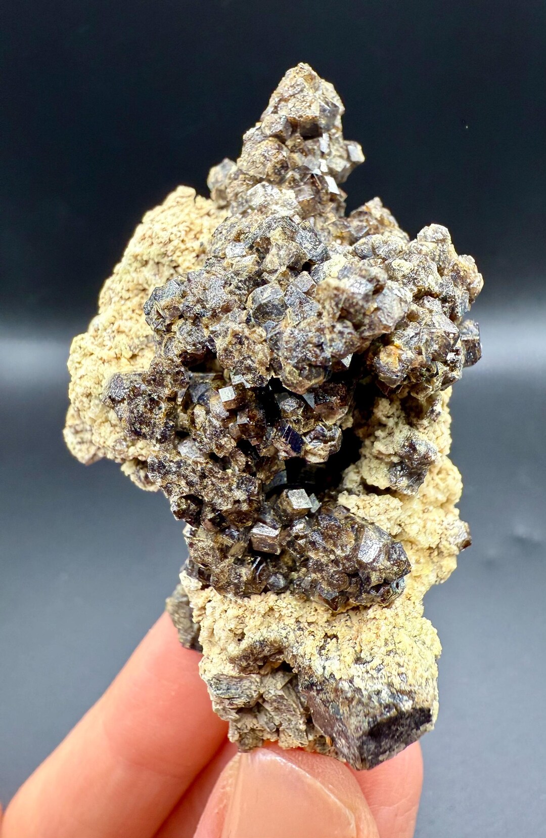 Black Garnets on Matrix, Melanite From Mexico. Rocks Minerals Crystals ...