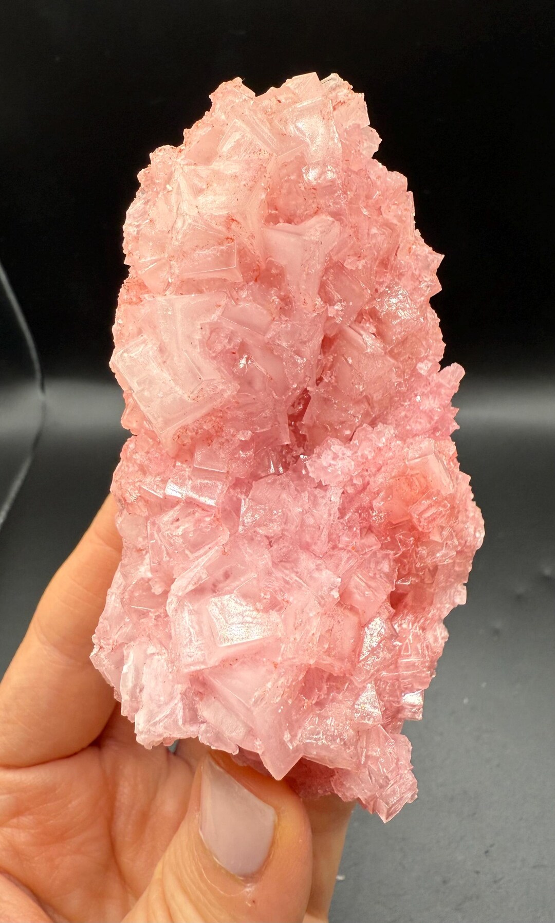 Pink Halite From Searles Lake, California. Crystals Minerals Rocks - Etsy