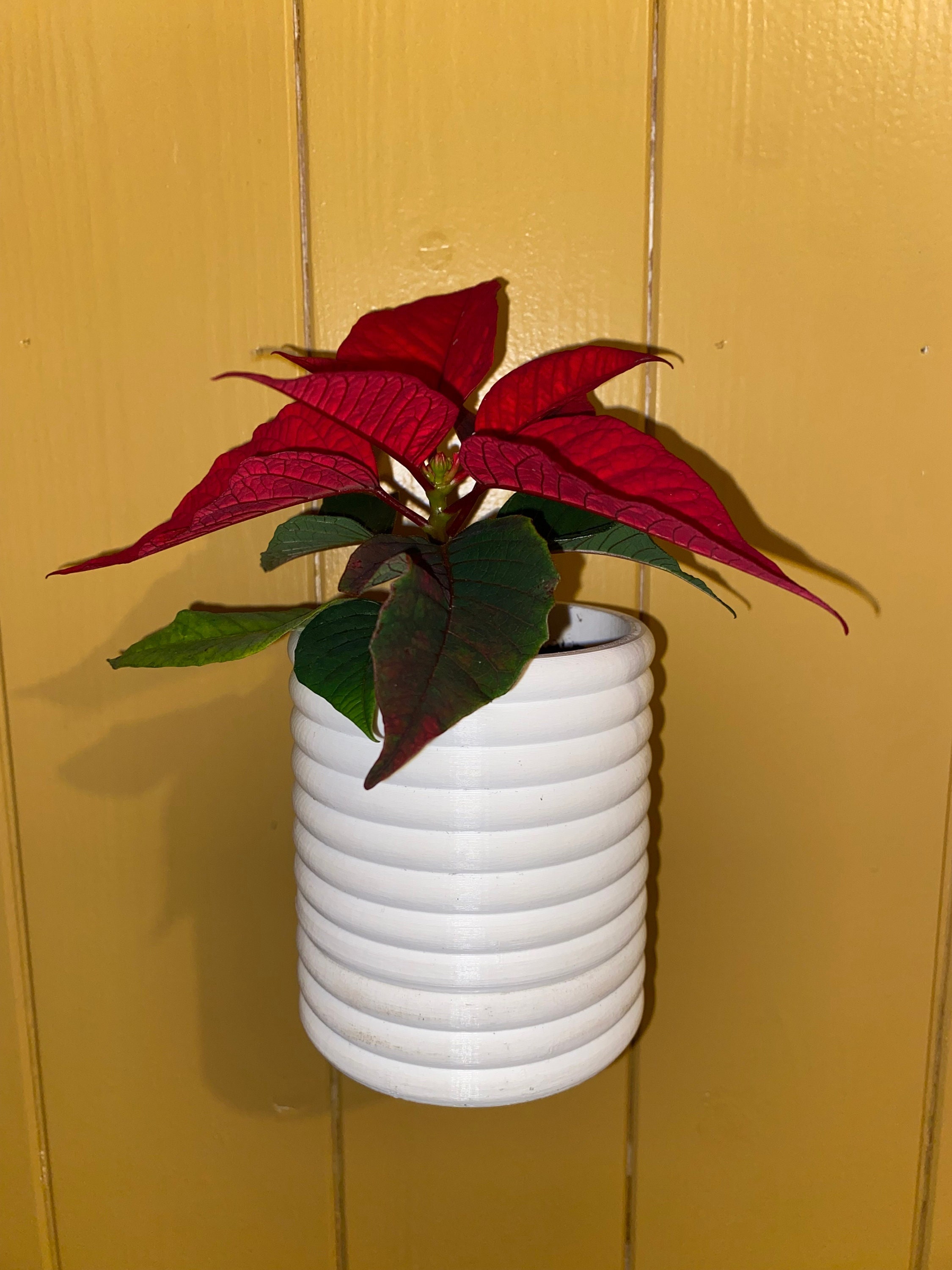 3D Printed Wall Mounted Poppy Planter With Hidden Drip Tray, Eco ...