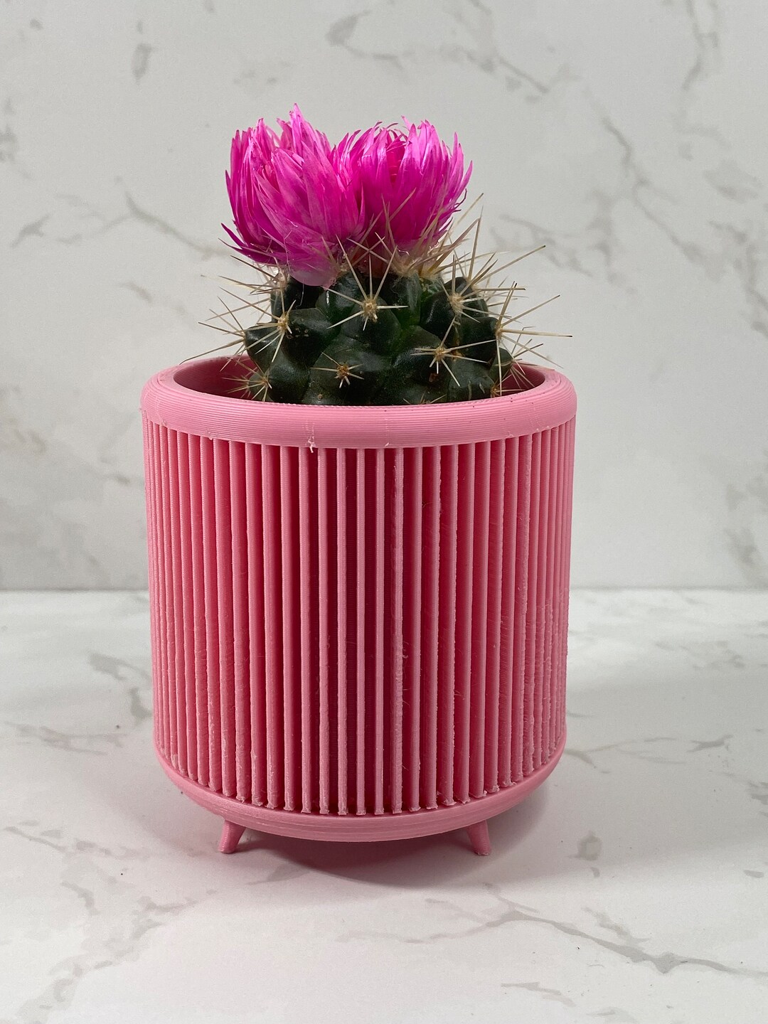Tabletop Plant Pot With Drainage - Modern, Vibrant, Energetic Design ...