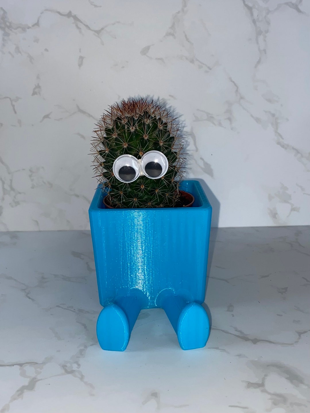 Tabletop Plant Pot With Drainage - Modern, Vibrant, Energetic Design ...