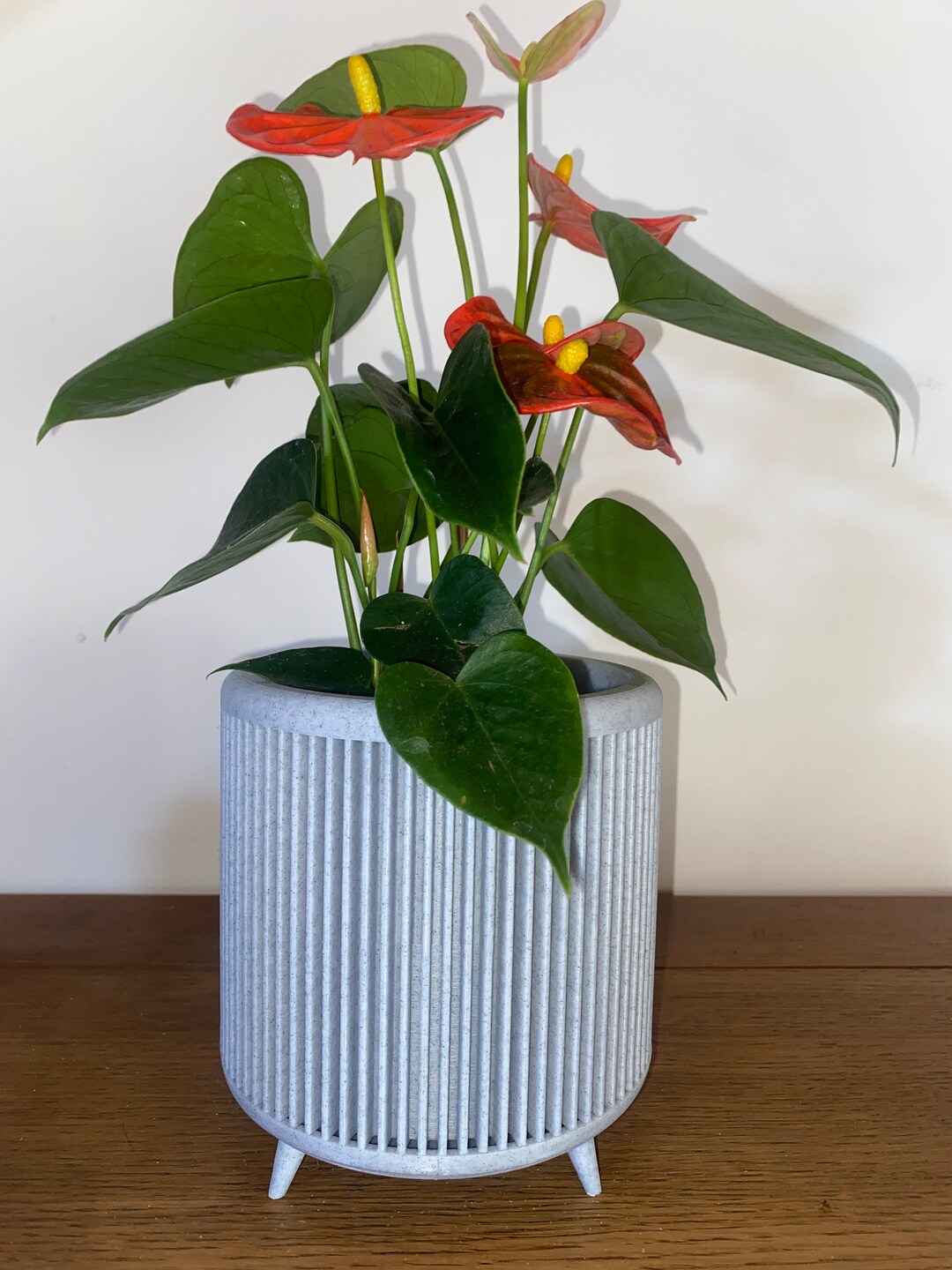 Tabletop Plant Pot With Drainage - Modern, Vibrant, Energetic Design ...