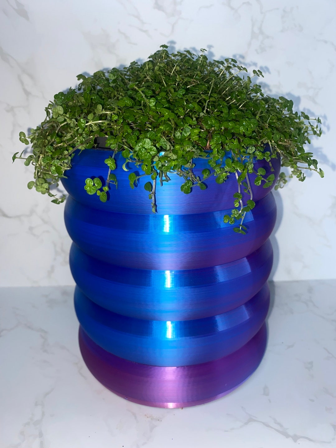 Tabletop Eco-friendly Planter With Drip Tray - Succulent, Vibrant Pots ...