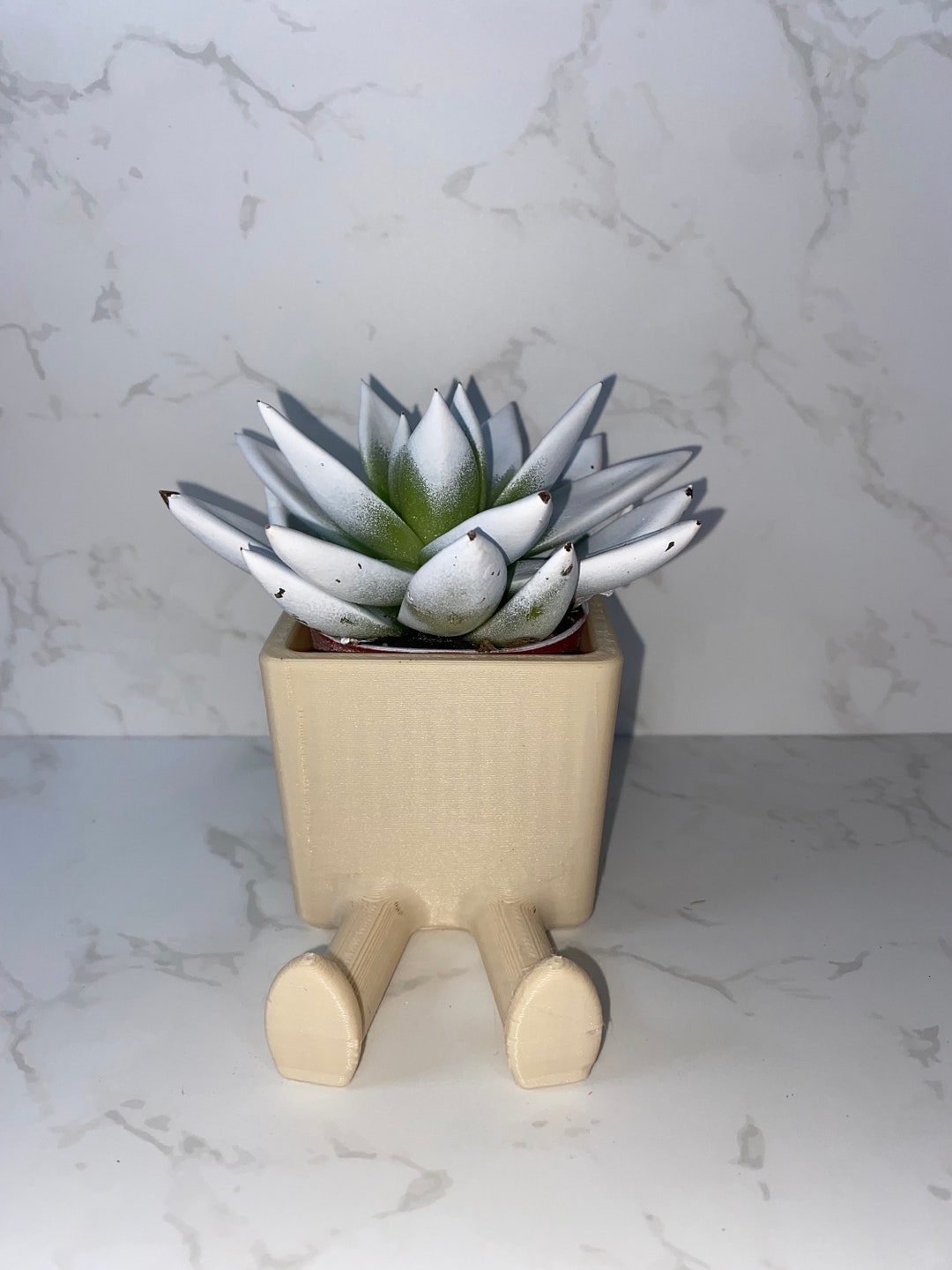 Tabletop Plant Pot With Drainage - Modern, Vibrant, Energetic Design ...