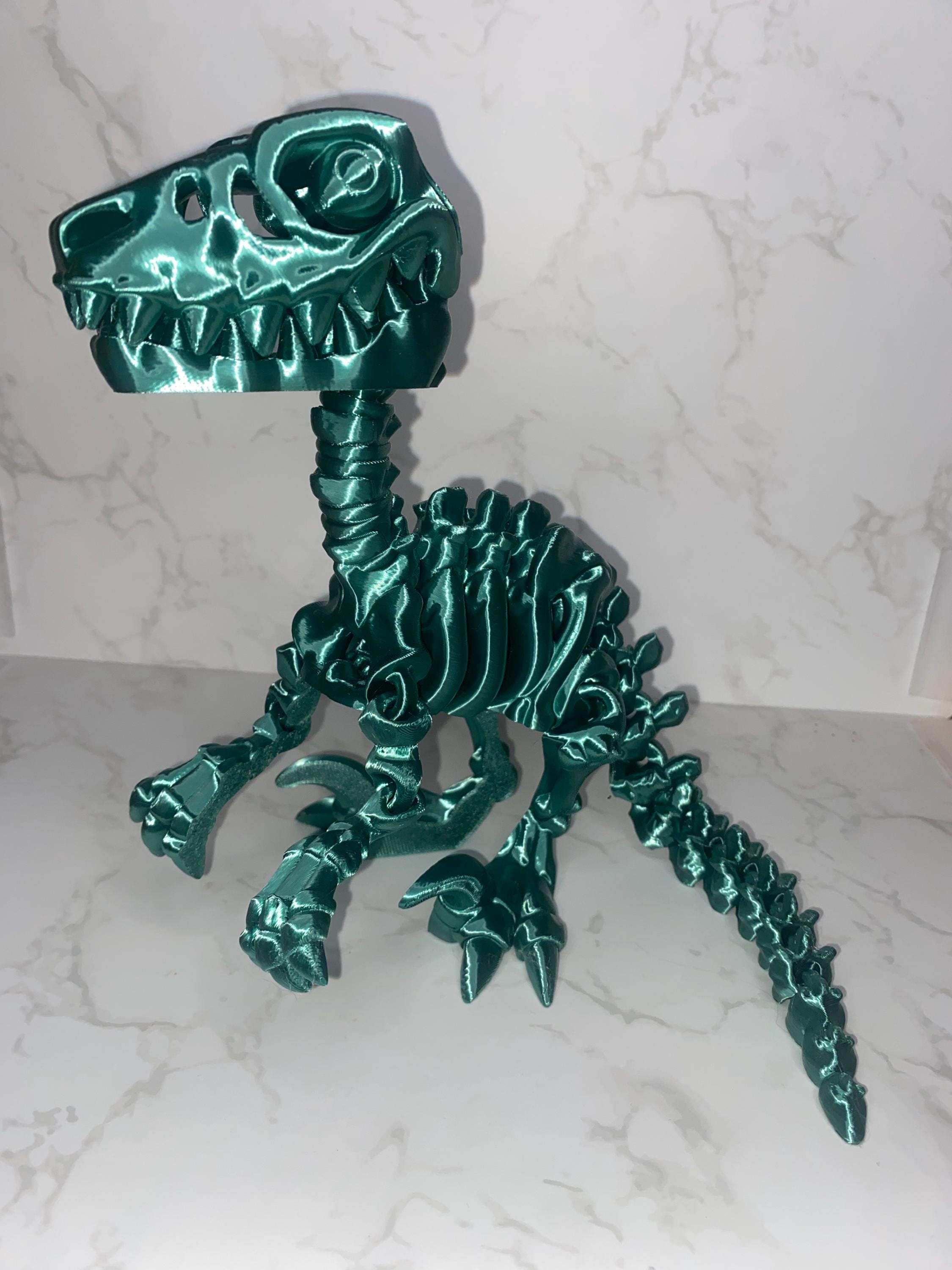 Raptor Dinosaur Skeleton - 3D Printed Sensory or Fidget Toy - Dinosaur ...