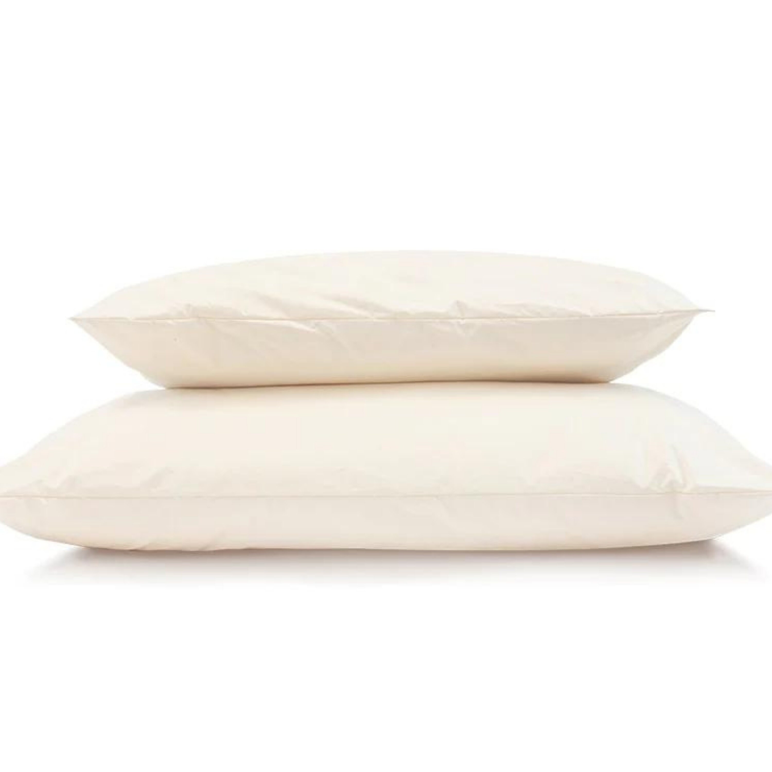 Organic Merino Wool Toddler Pillow 13x18x4.5 Cotton Pillowcase Crib ...