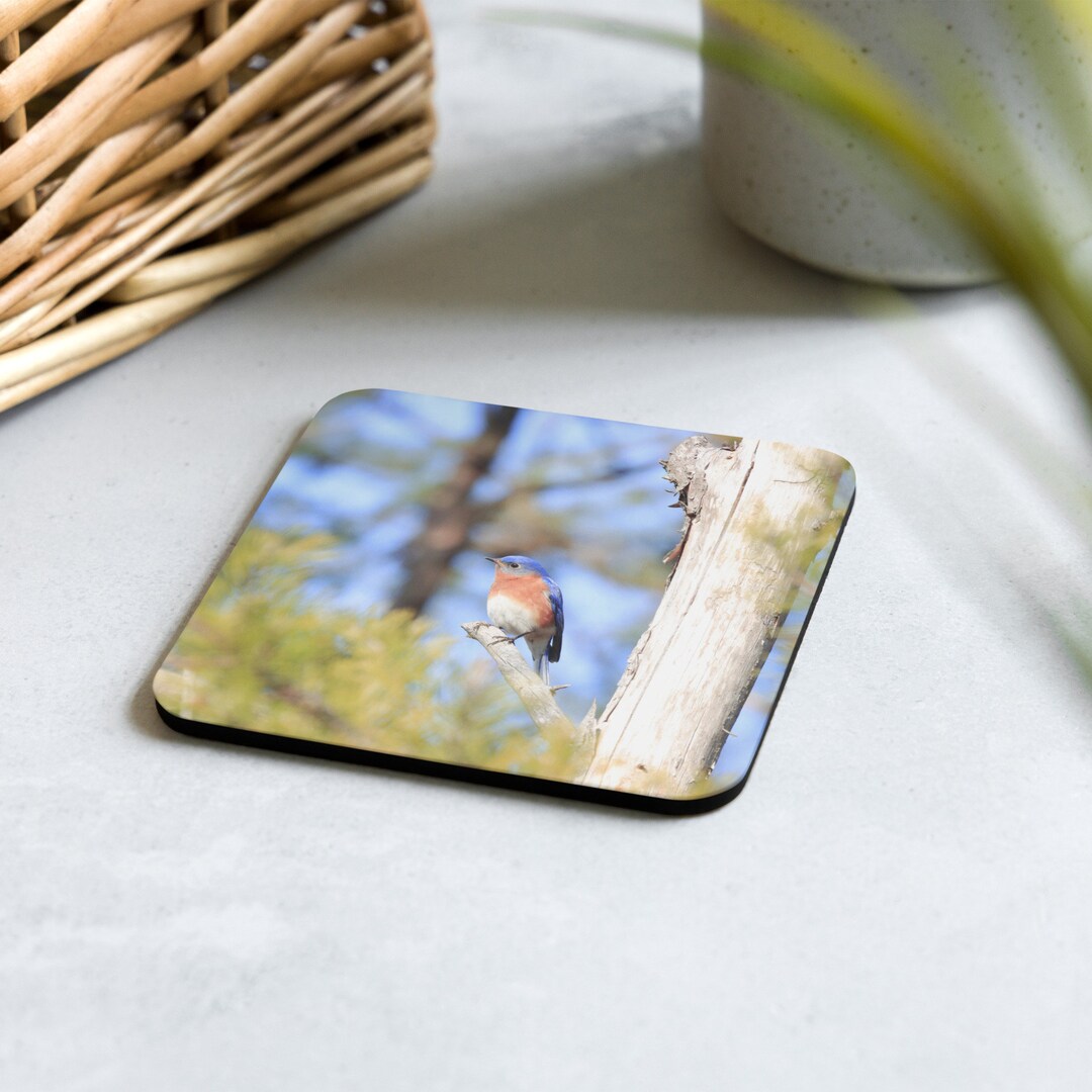 Cork-back Coaster Eastern Blue Bird Songbird Wildlife Animal Small Tail ...