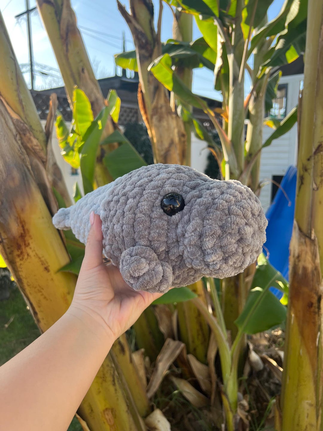 Big Manatee Crochet Plushie (two-tone) - Etsy