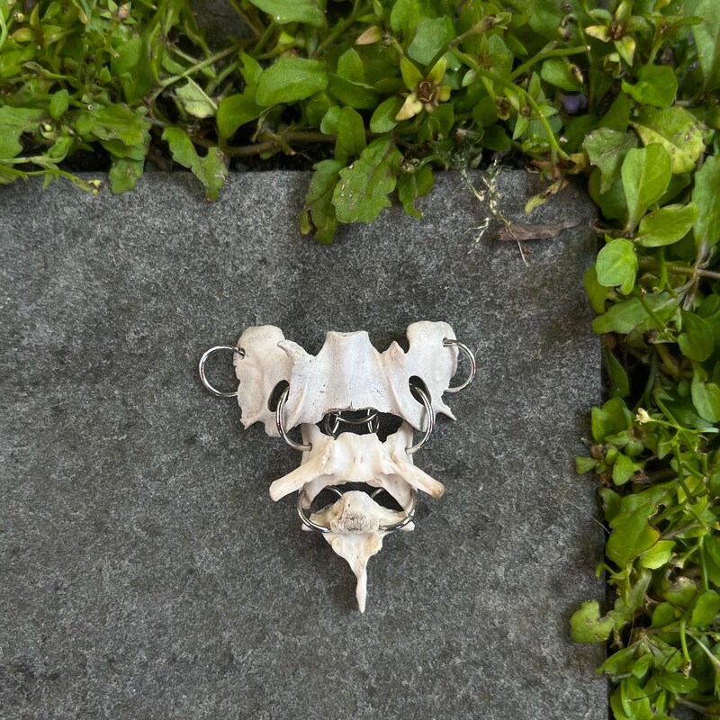 Bone Pendant - Etsy