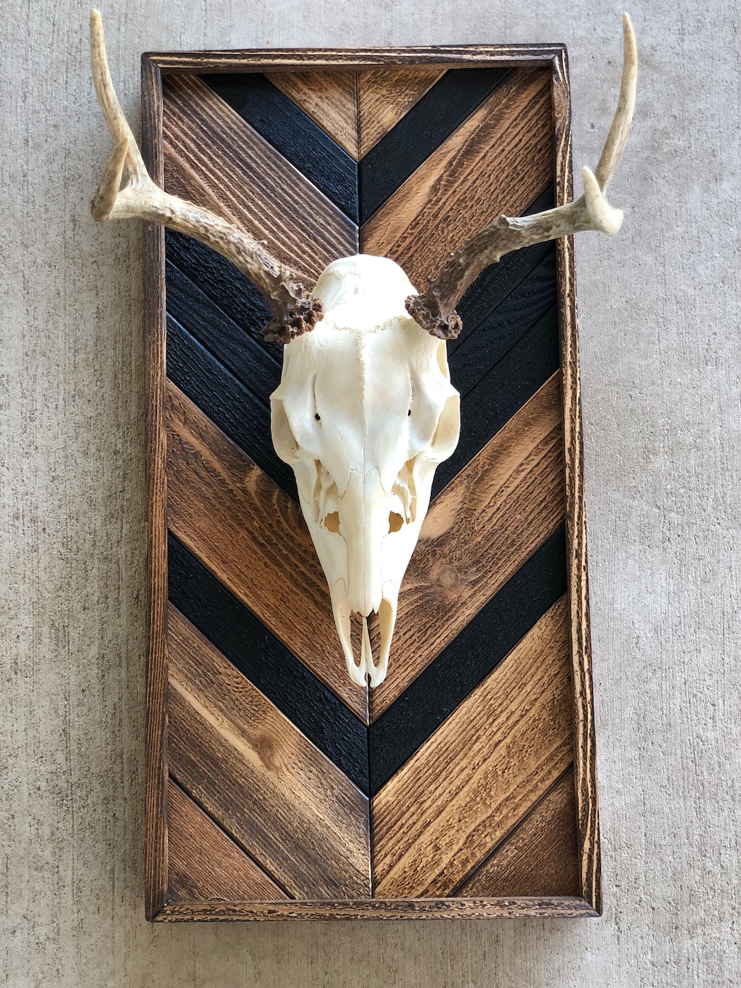 European Mount Display & Rustic Southwest Decor - Etsy