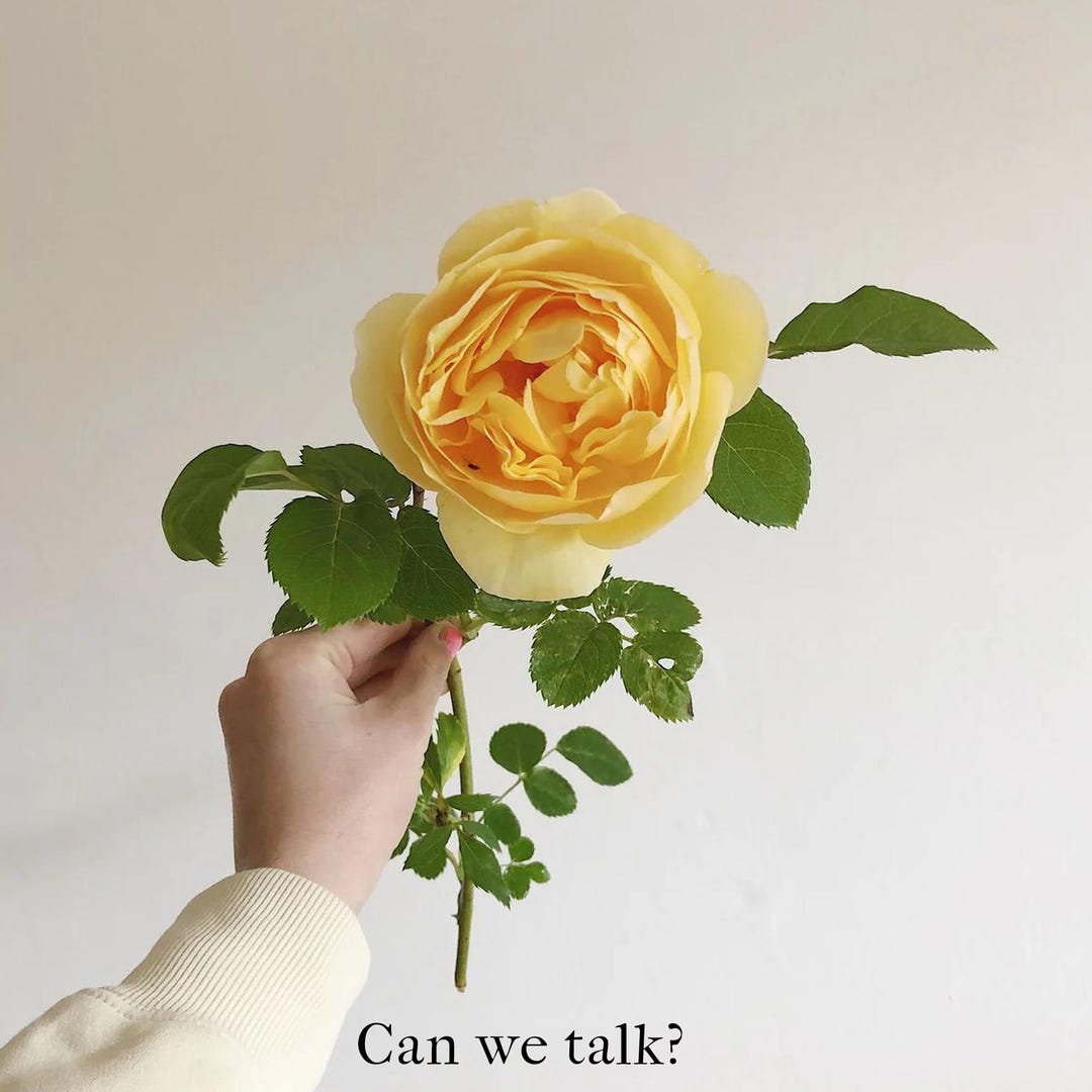 Who Wants to Contact to You? - Etsy