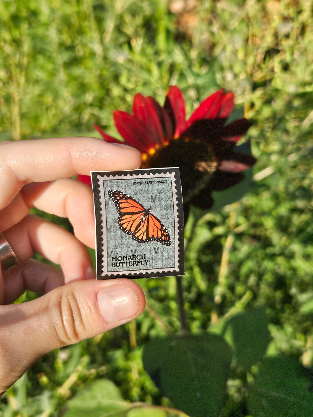 Idaho Monarch Butterfly Stamp Sticker, Idaho State Insect, Idaho ...