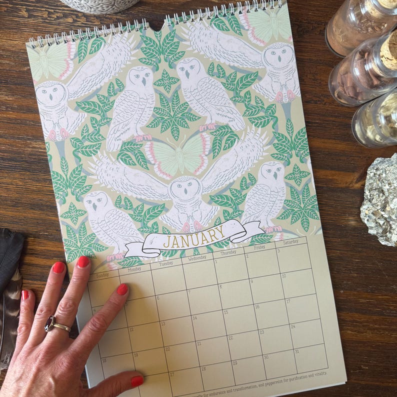 2026 Birds, Moths, Butterflies, and Botanical Calendar - Etsy