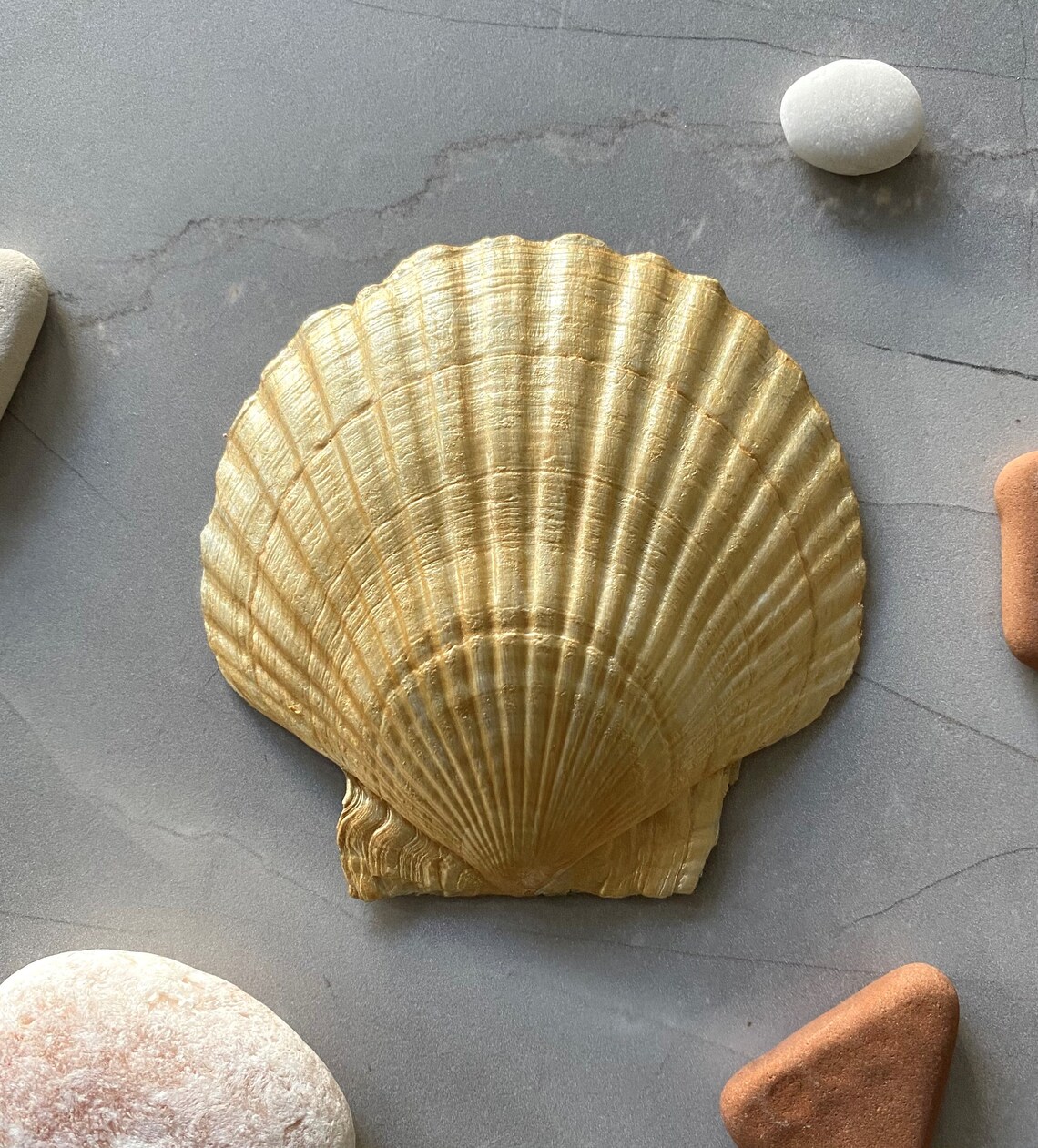 Ocean Wave Painted Scallop Shell - Etsy