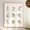 Kids Dinosaur Printable Bundle, Dinosaur Wall Art, Numbers Poster ...