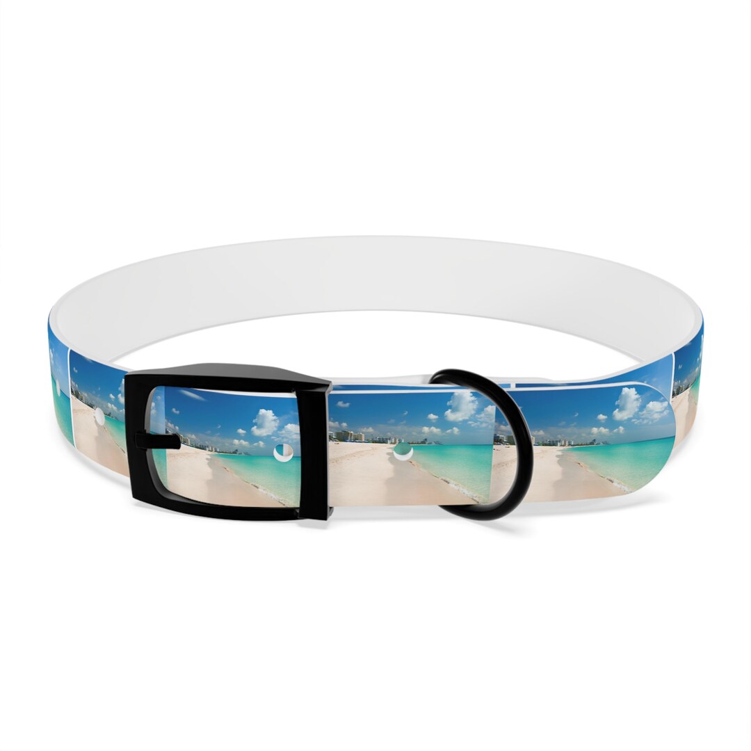 The Beach in South Beach Miami Beach Dog Collar - Etsy
