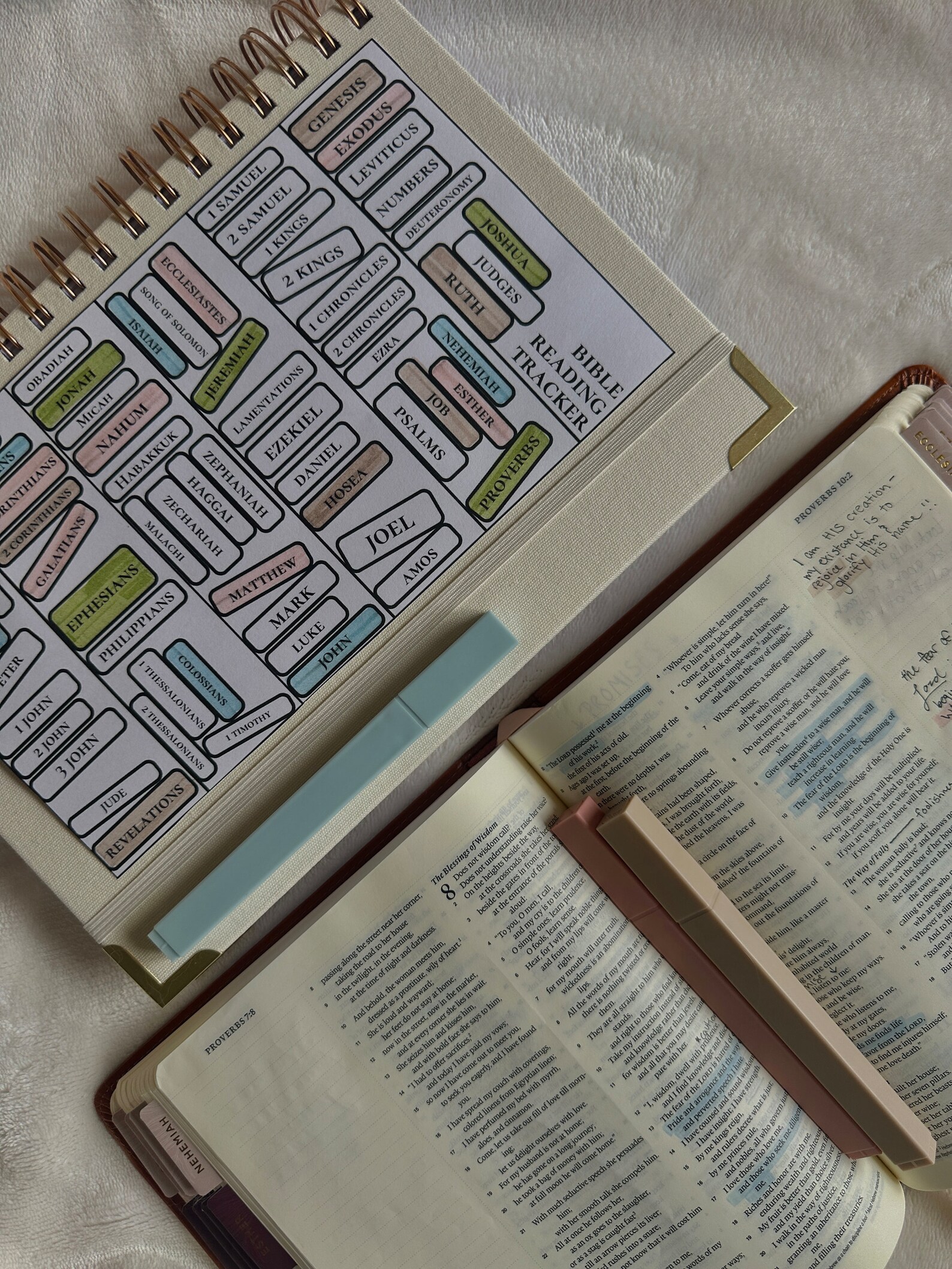 Bible Reading Tracker - Etsy