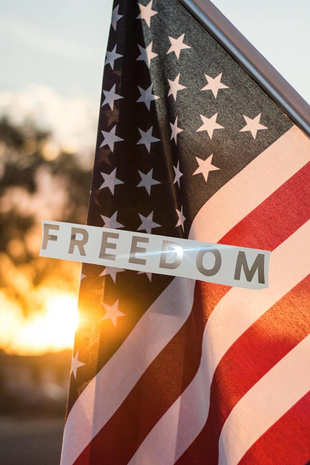 Freedom Decal | Charlie Kirk Vinyl Sticker | Car, Laptop Decor ...