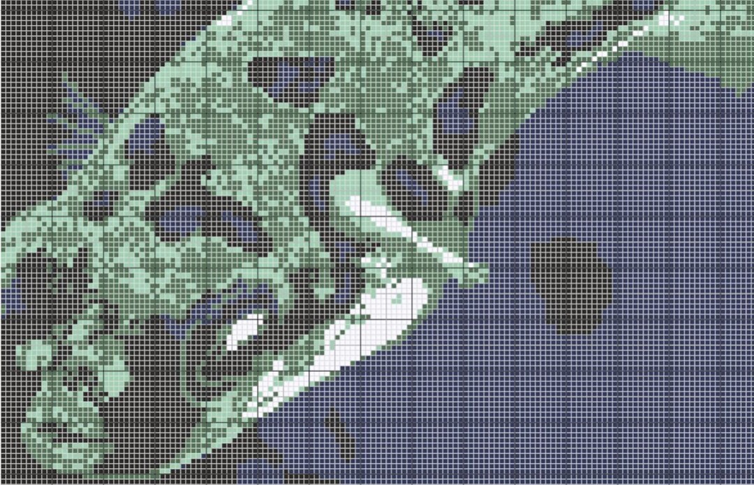 Pea Puffer Fish Crochet, Colorwork, Chart, Afghan, Pattern, Blanket ...