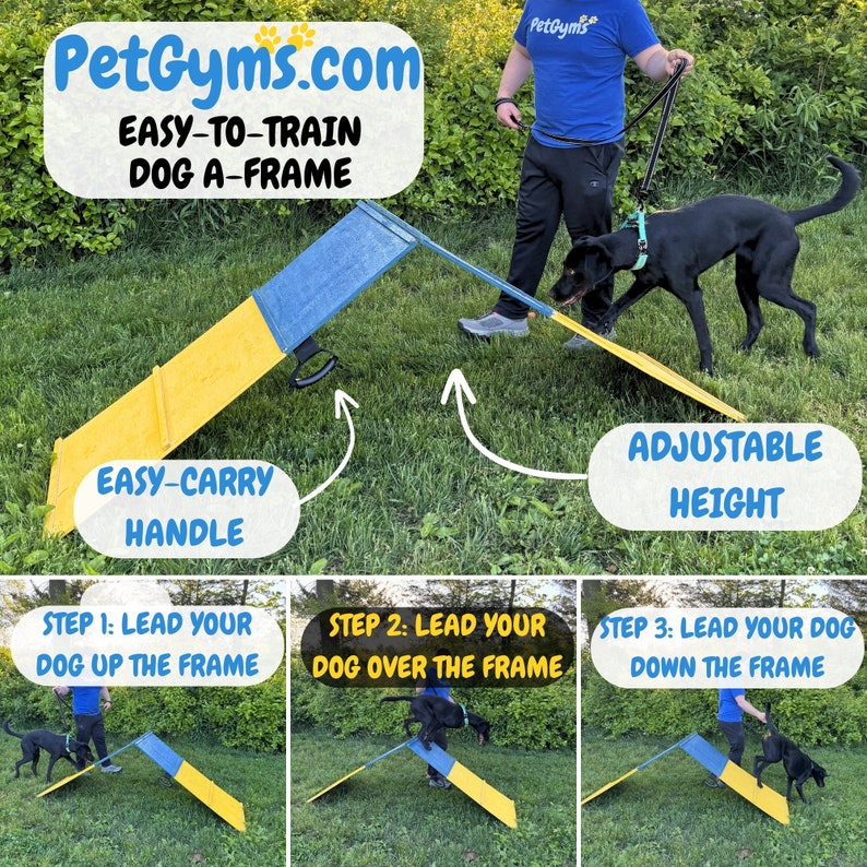 Pet Gyms Dog Agility A Frame Made in USA Dog Park Equipment Dog Agility ...