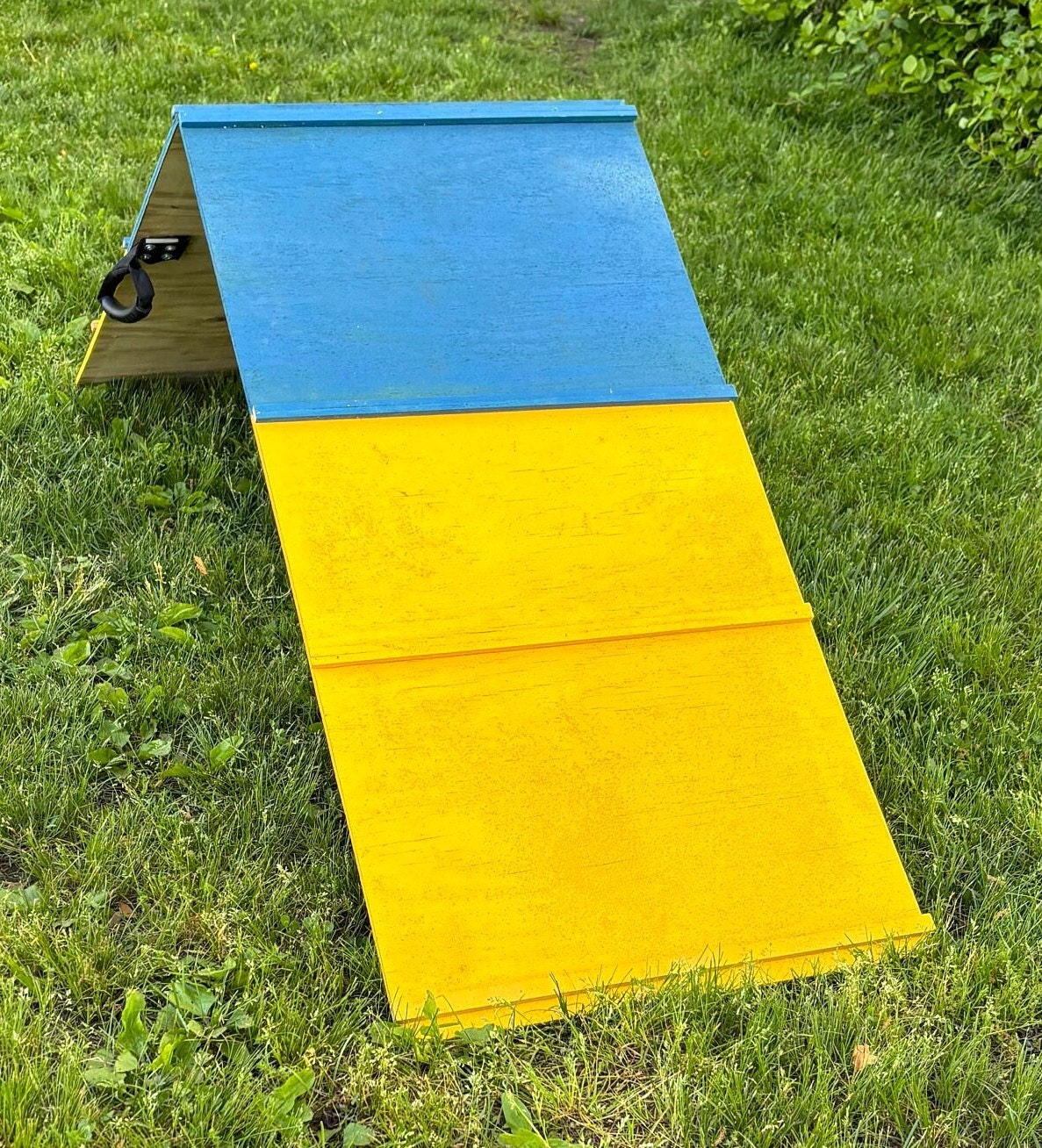 Pet Gyms Dog Agility A Frame Made in USA Dog Park Equipment Dog Agility ...