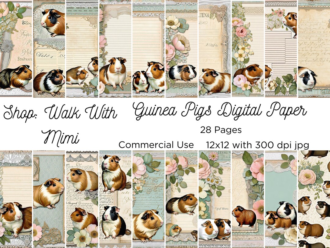 Guinea Pigs Digital Paper, 28 High Quality Images, Jpg File, Printable ...