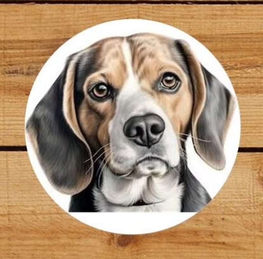 BEAGLE Dog "welcome" 3D Huge Wood Decor Sign "welcome to the Doghouse ...